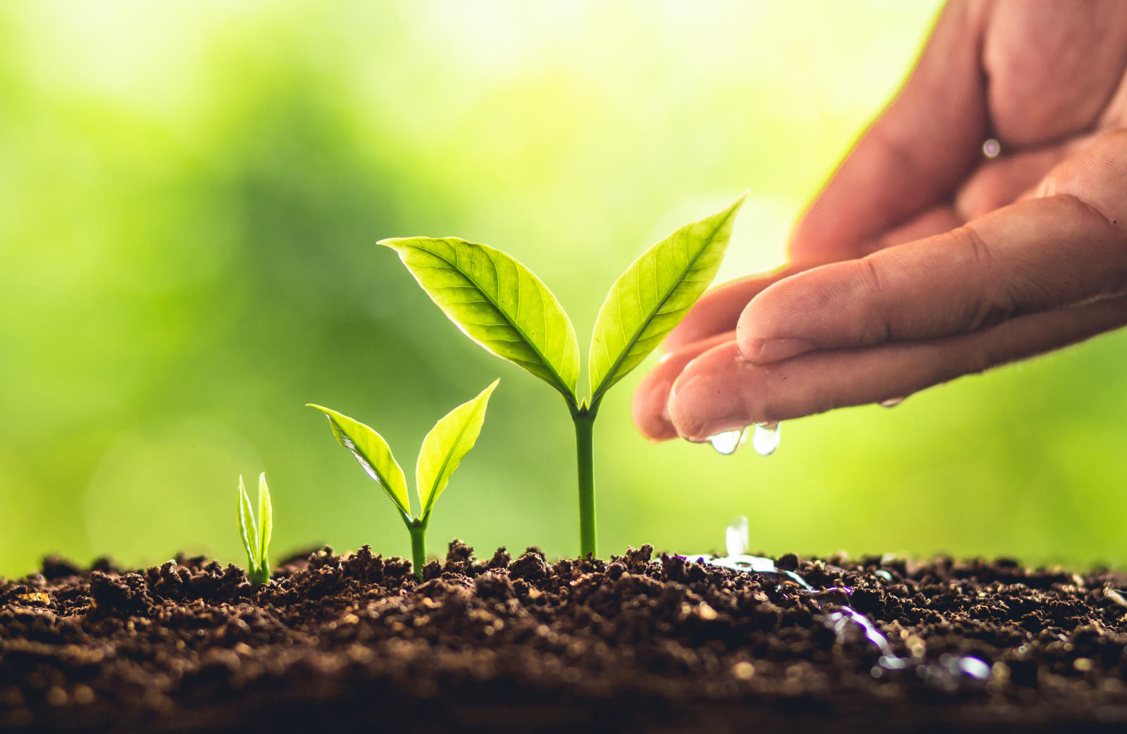 Lightning Protection and Earthing Design|Jef Techno|